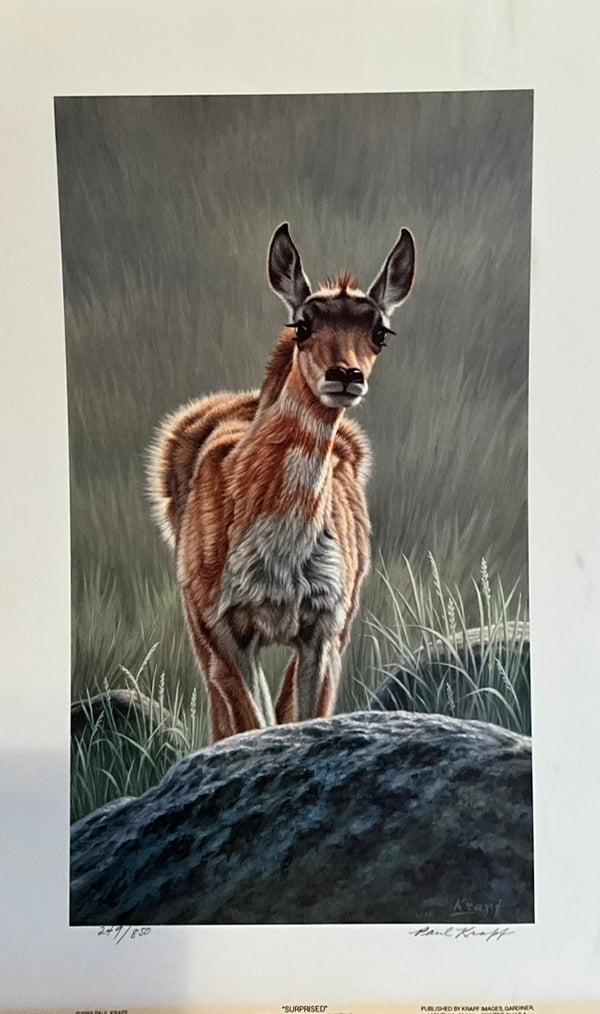 Paul Krapf "Surprised" Print – Collectors Art and Photography